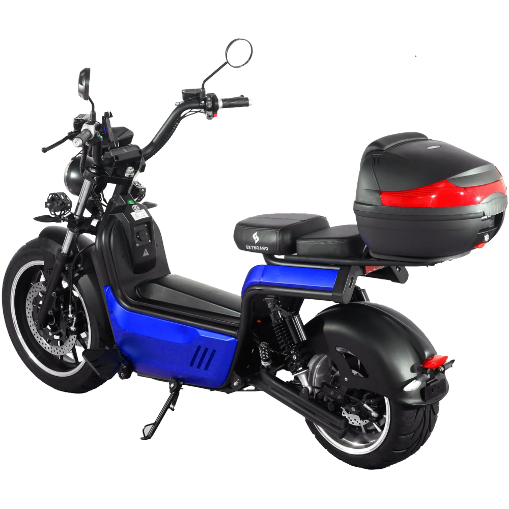 Skyboard BR100-5000 (Amur) купить в Москве - Цена, Характеристики | Магазин EcoMoto